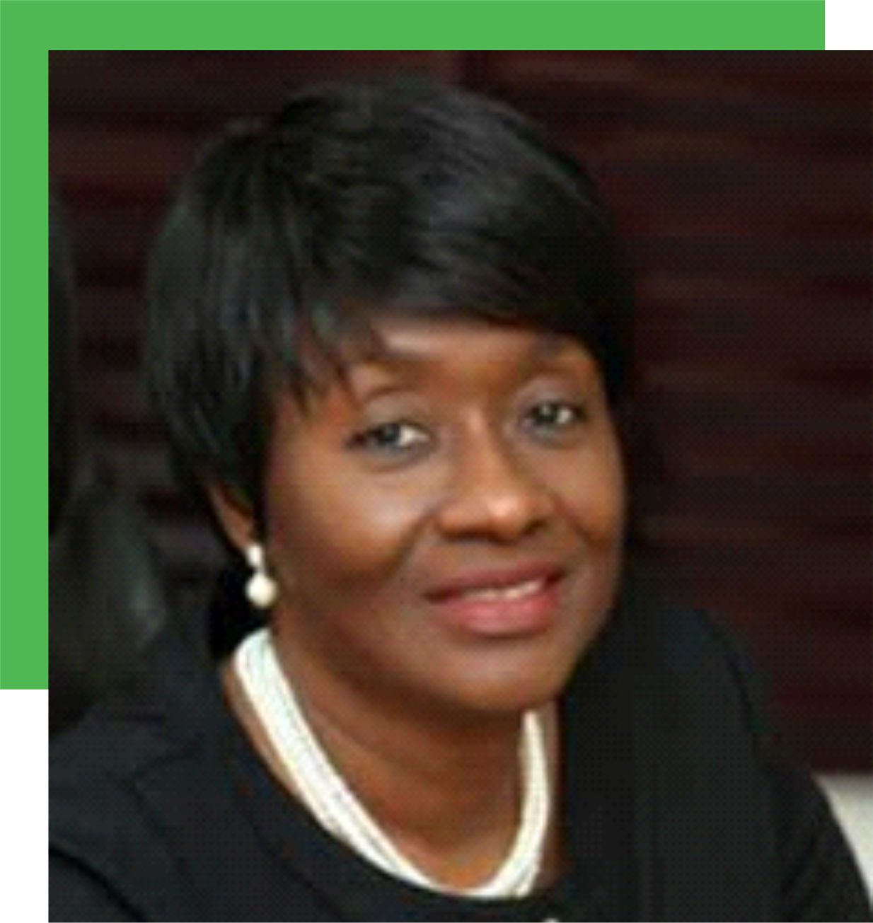 The Board – Corporate Governance Advisory